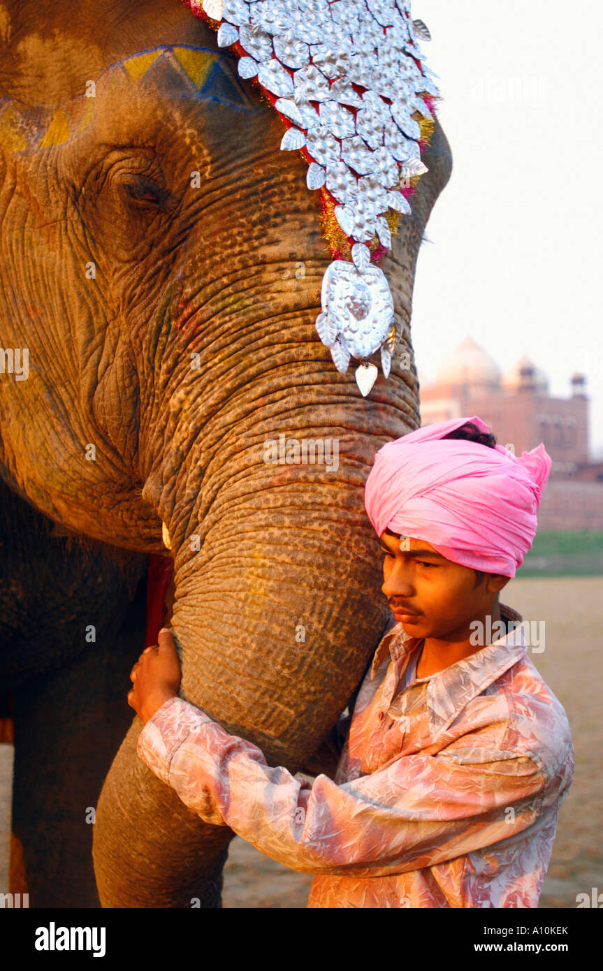 Side profile of a young man holding an elephant's trunk Stock Photo - Alamy