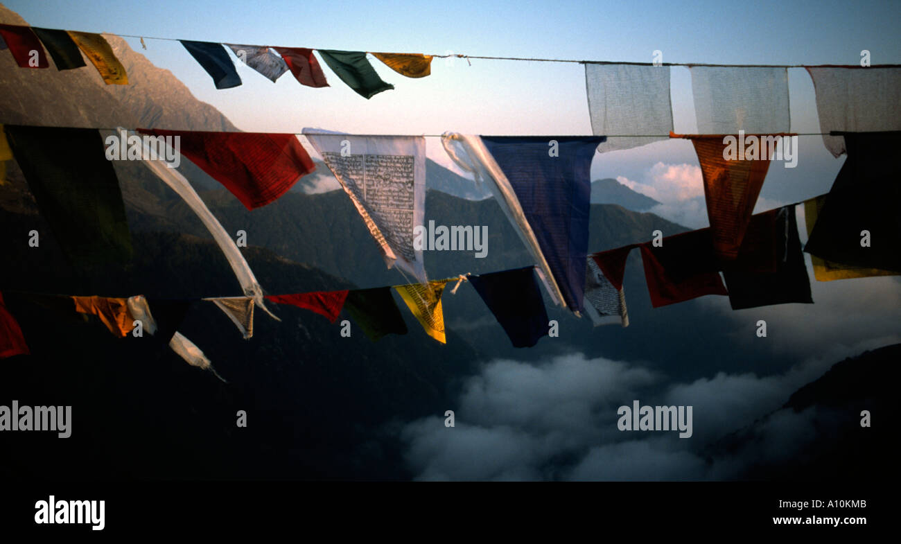 Tibetan Buddhist prayer flags in India Himalayan mountains Stock Photo ...