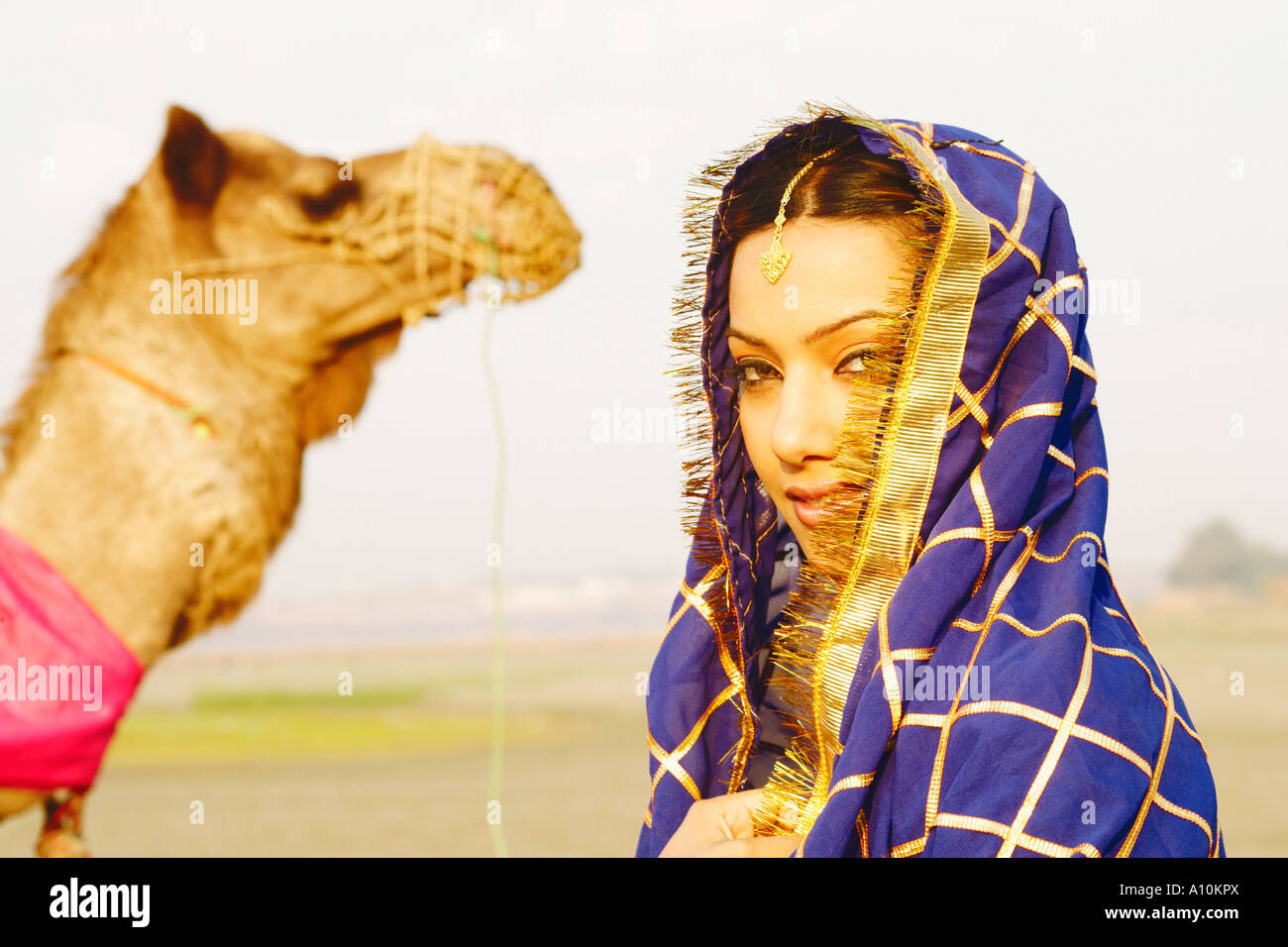 Indian woman veil profile hi-res stock photography and images - Alamy