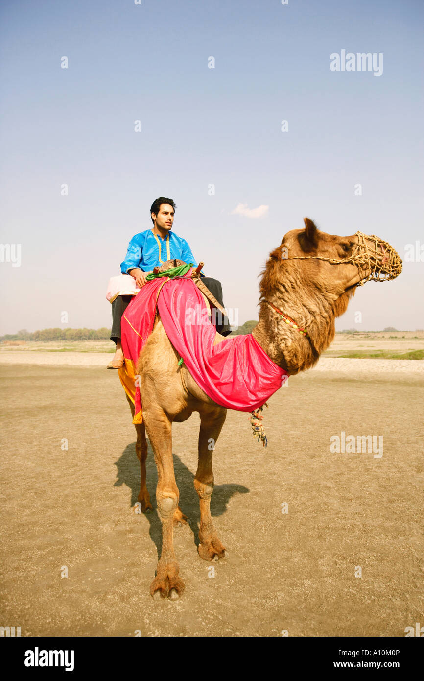 Low angle view of a young man riding a camel Stock Photo - Alamy