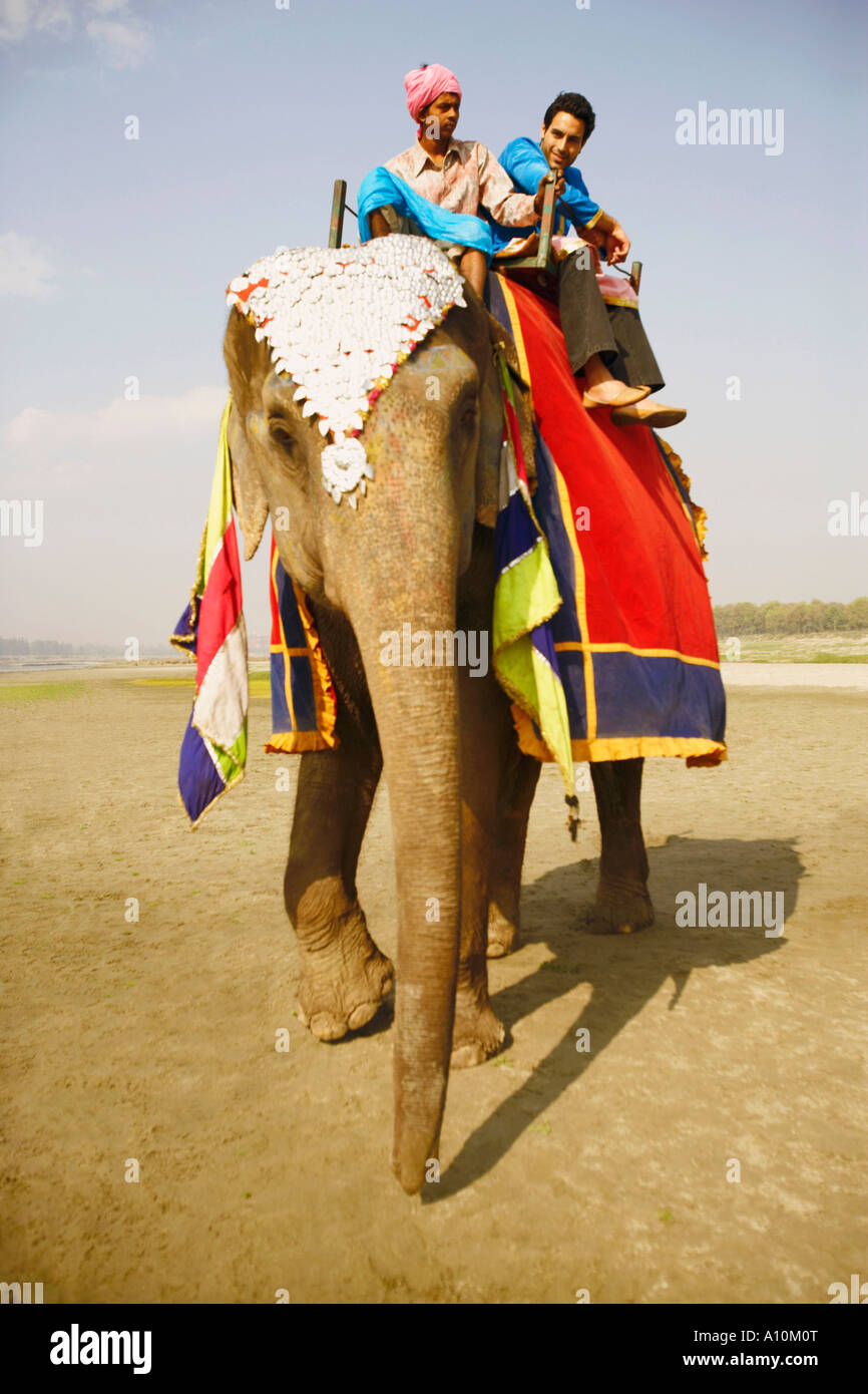 Side angle view indian elephant hi-res stock photography and images - Alamy