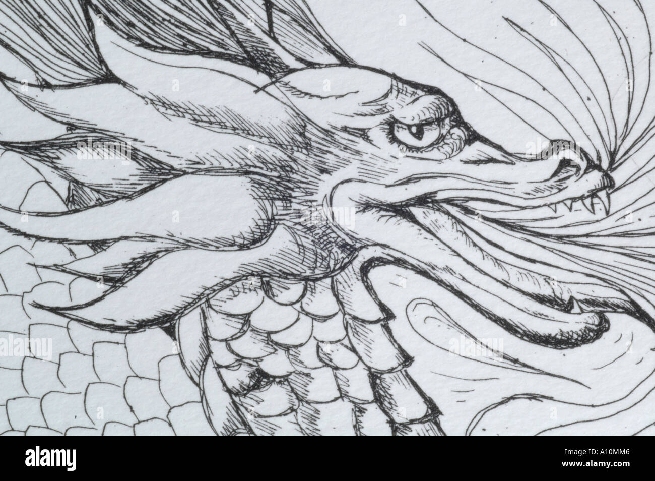 Line etching hi-res stock photography and images - Alamy