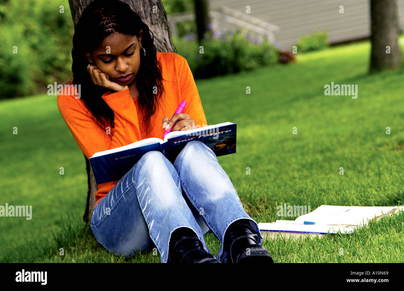 Girl studying under tree Stock Photo - Alamy