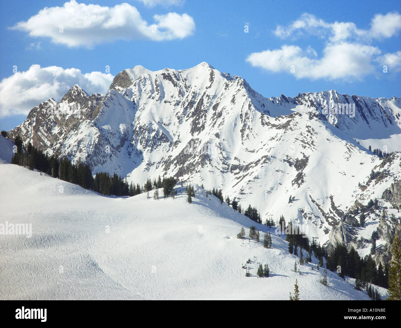Superior Peak from Albion Basin Alta Ski Resort in Little Cottonwood Canyon Wasatch Mountains ...