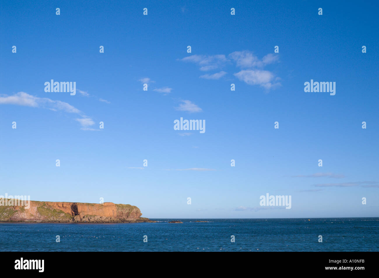 North Sea and cliffs Eyemouth Scottish Borders Berwickshire UK Stock ...