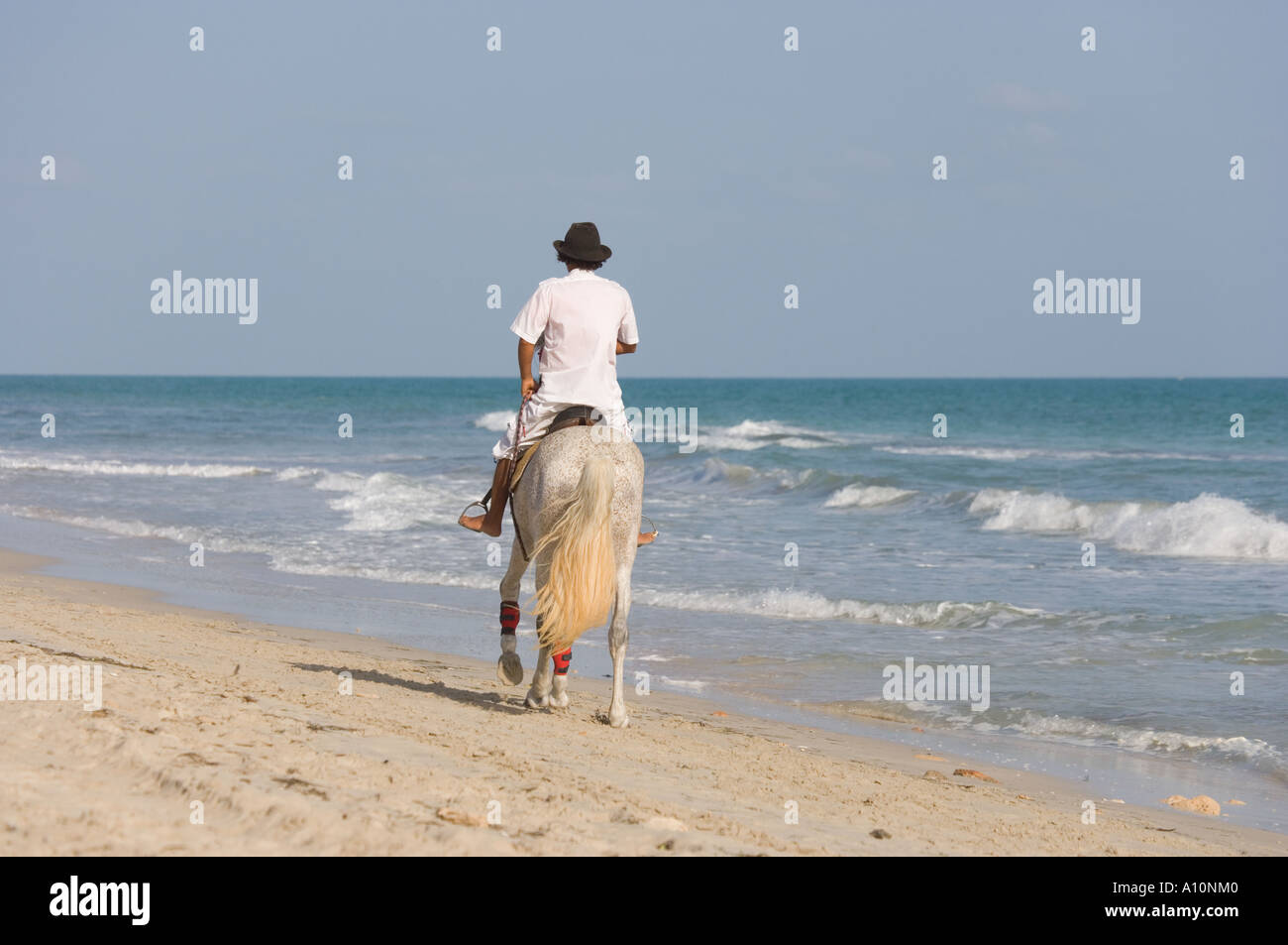 Horse and Rider on Beach in Tunisia Stock Photo - Alamy