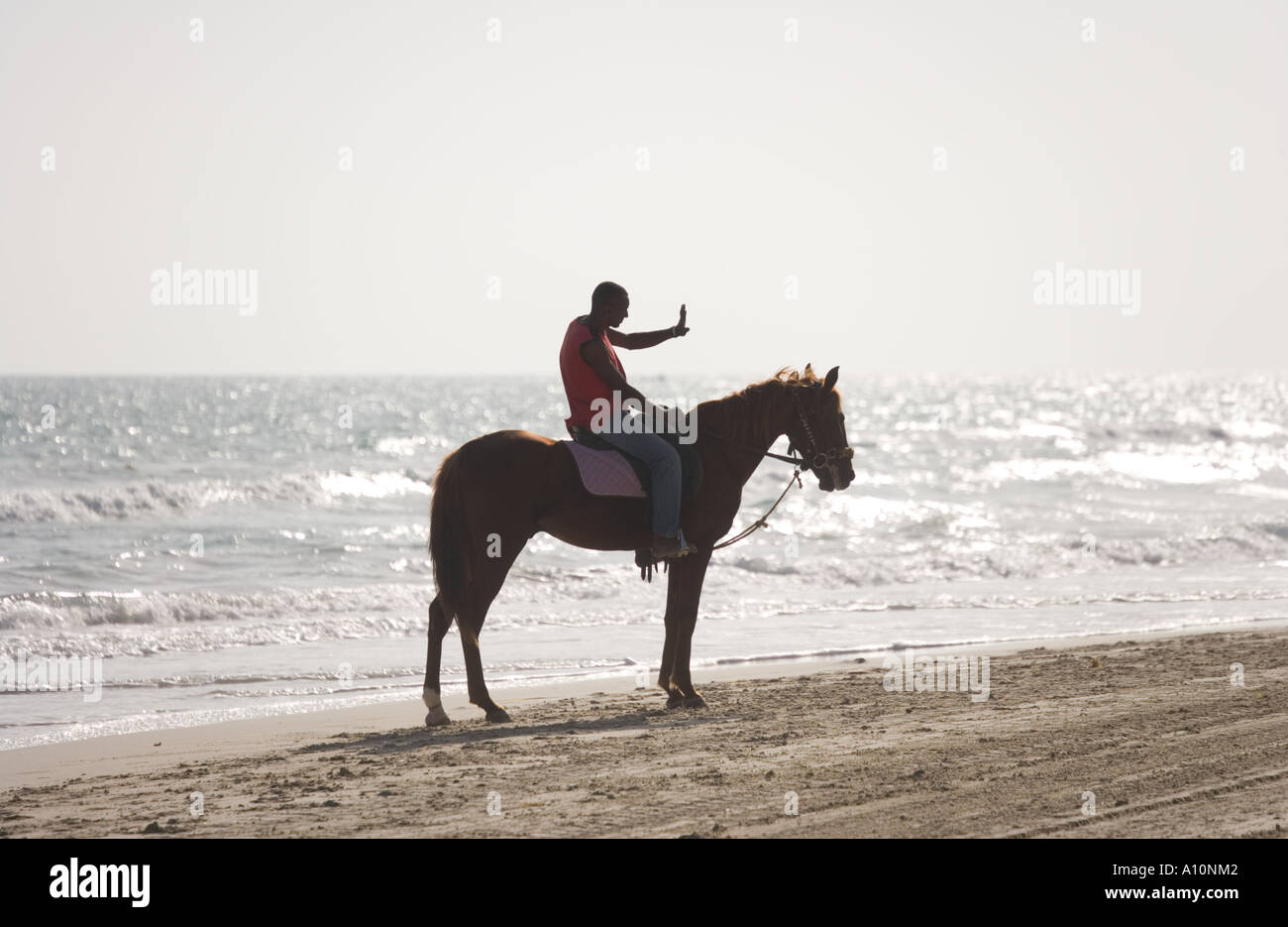 Horse and Rider on Beach in Tunisia Stock Photo - Alamy