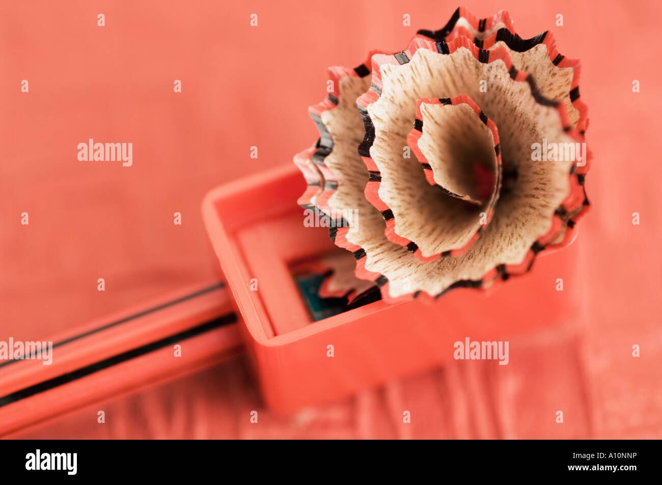 Close-up of a pencil being sharpened Stock Photo - Alamy