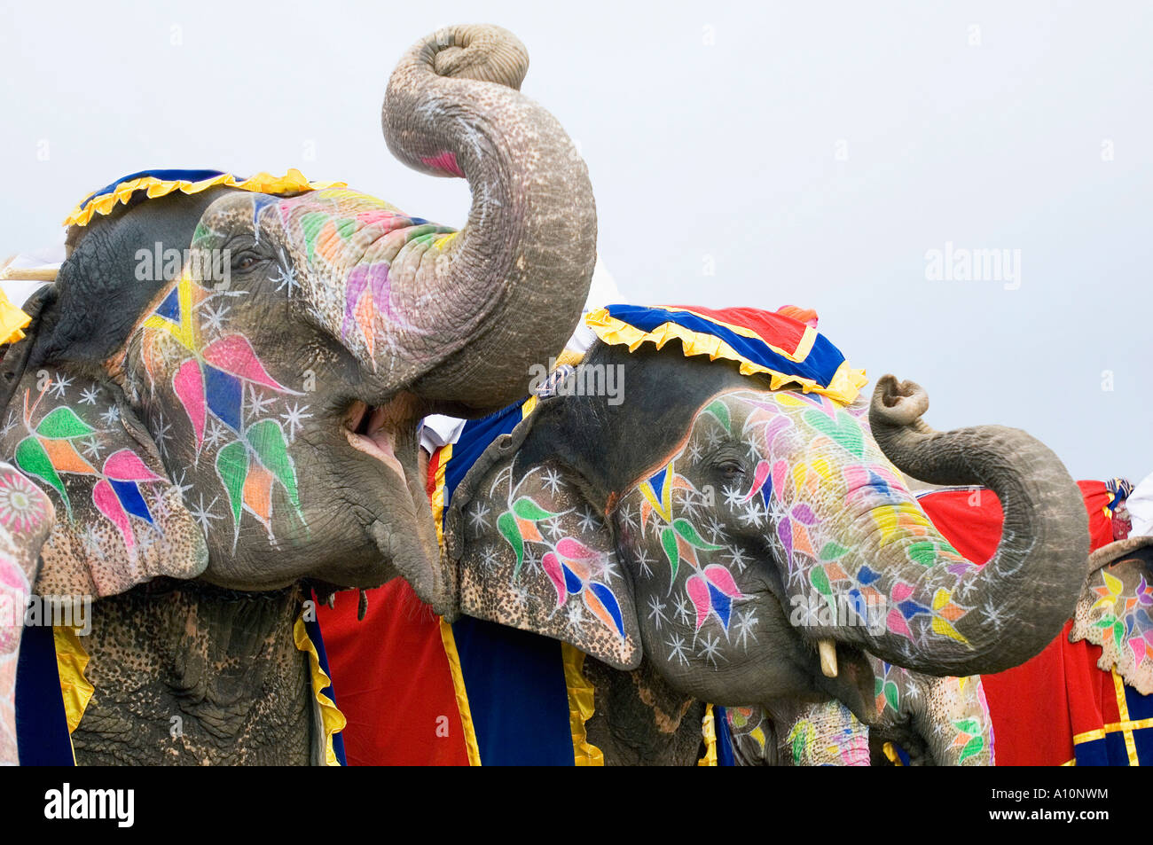 World body paint festival hi-res stock photography and images - Alamy