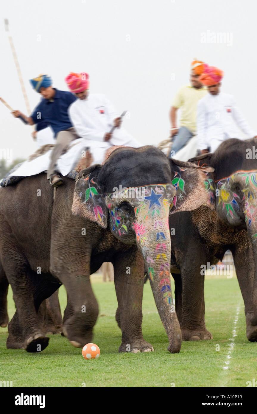Two adult men playing polo hi-res stock photography and images - Alamy