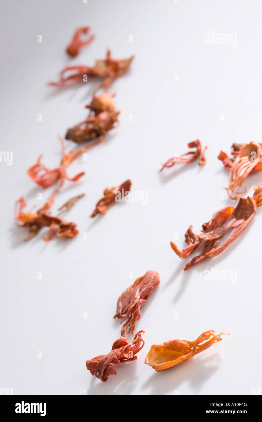 Close-up of dried Mace blades Stock Photo - Alamy