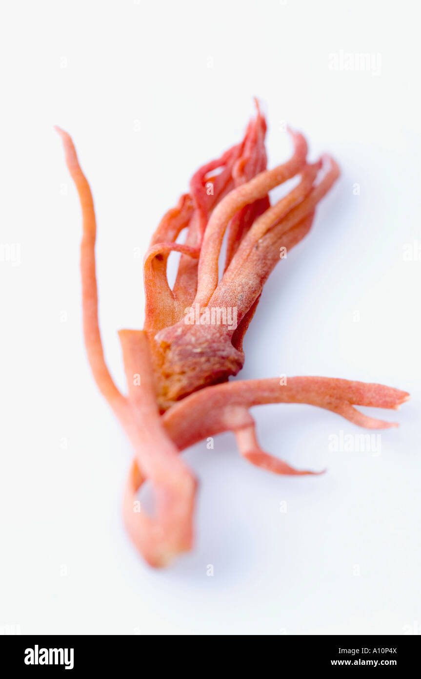 Mace blade Cut Out Stock Images & Pictures - Alamy