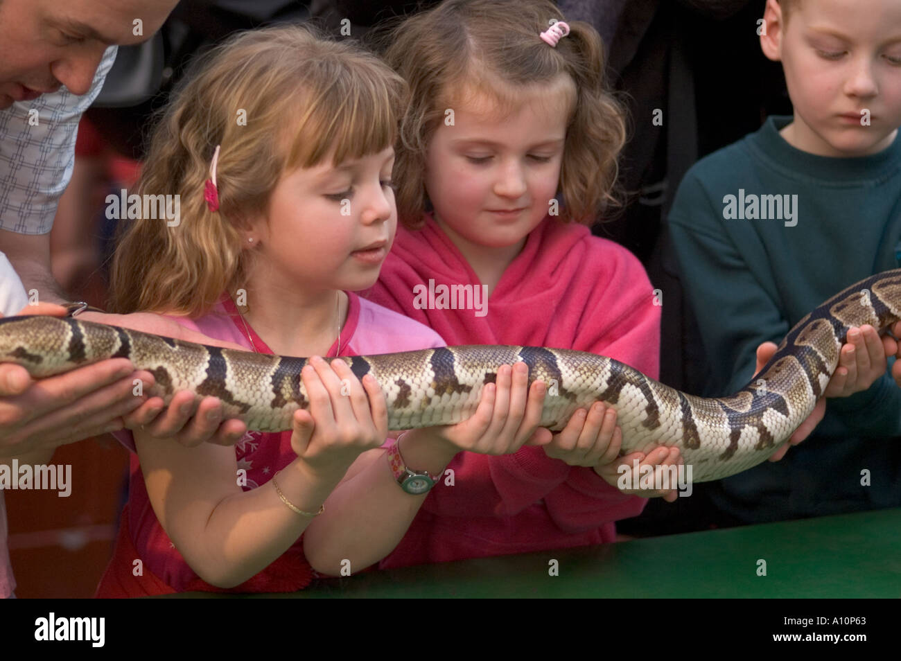 Children learn to handle animals and conquer phobias at Butterfly World ...
