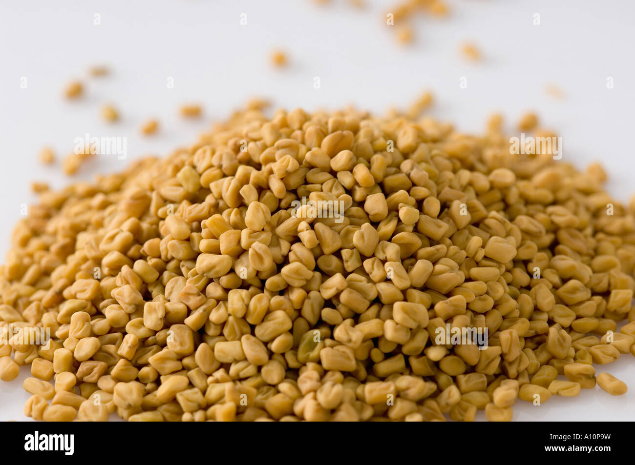 Close-up of Fenugreek seeds Stock Photo - Alamy