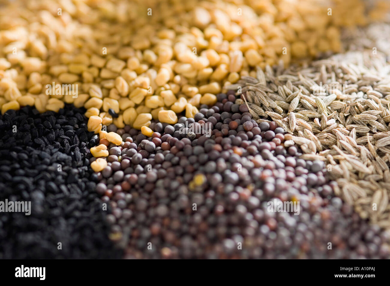 Close-up of spices Stock Photo - Alamy