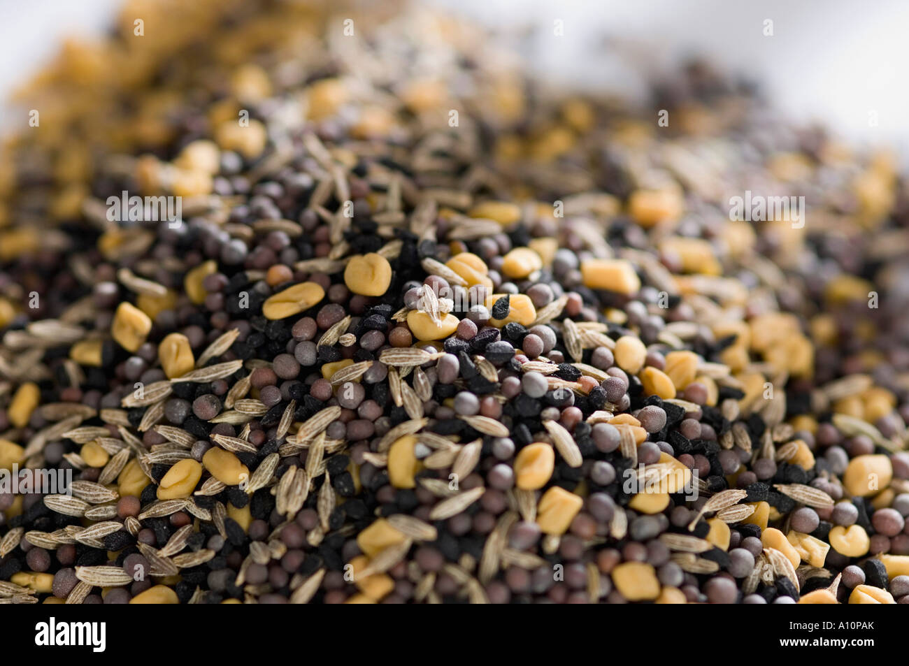 Close-up of spices Stock Photo - Alamy