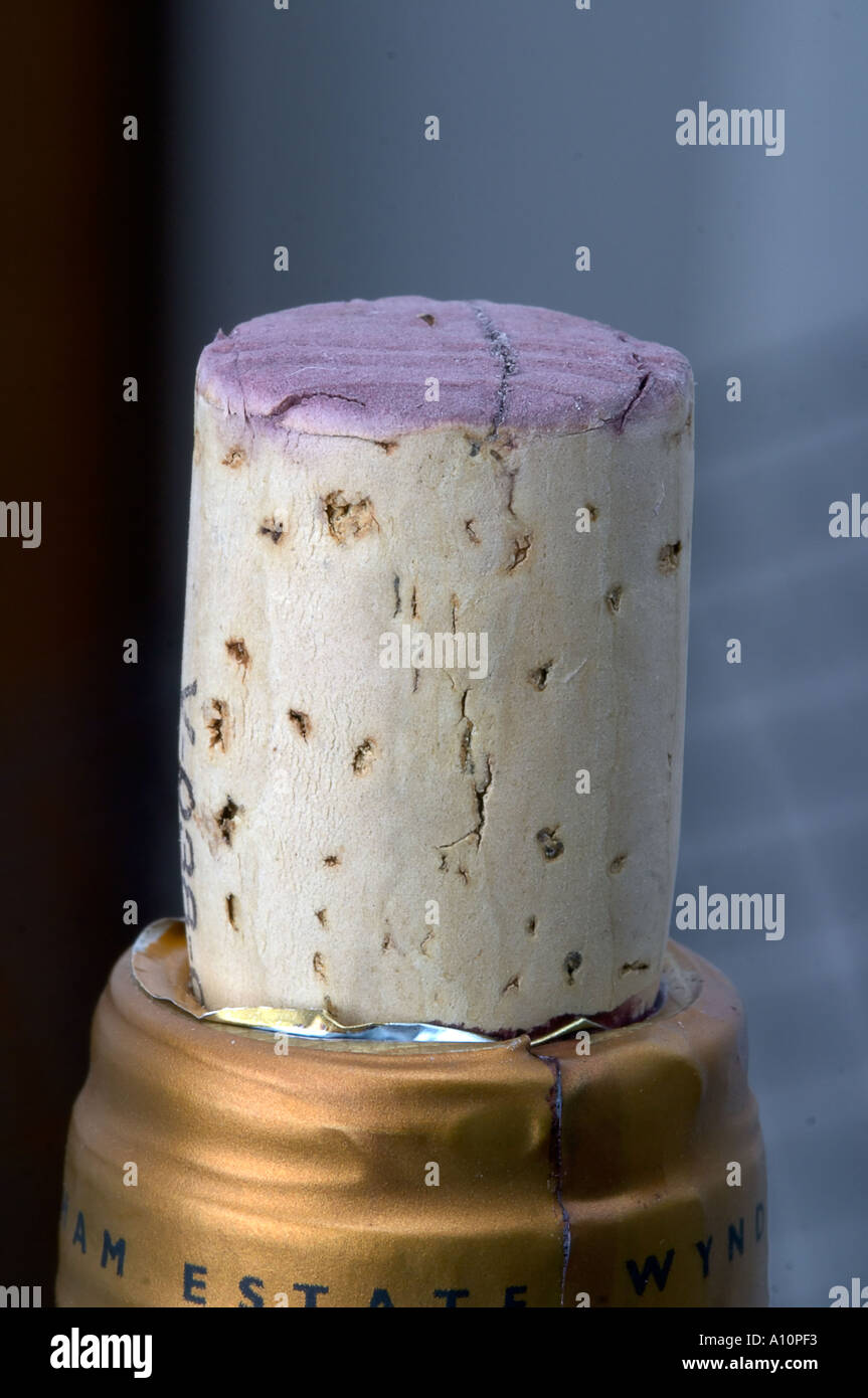 Ideas Ideas idea bottle close up cork decamp uncork corked plastic cork ...