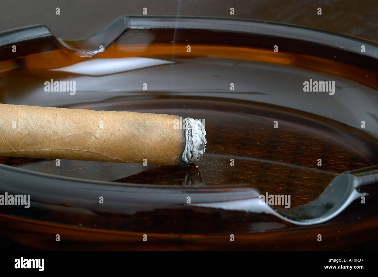 lifestyles smoking cigar tobacco cylindrical roll wrap smoke burning ...