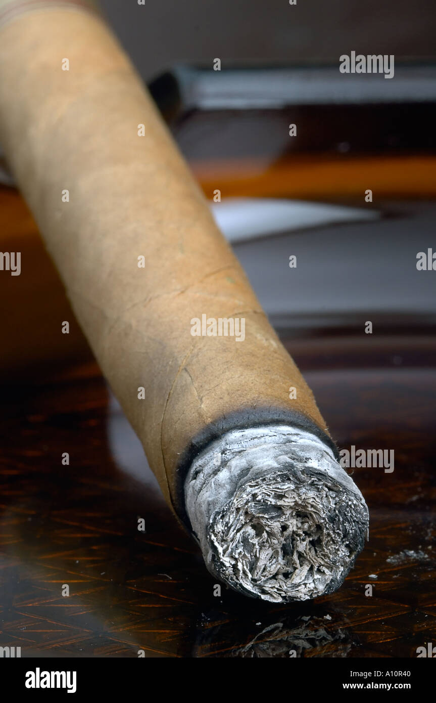 lifestyles smoking cigar tobacco cylindrical roll wrap smoke burning ...