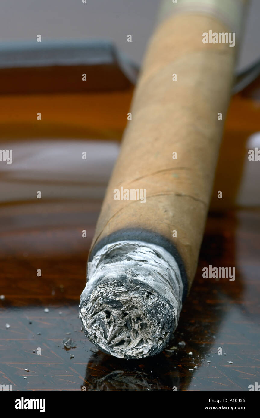 lifestyles smoking cigar tobacco cylindrical roll wrap smoke burning ...