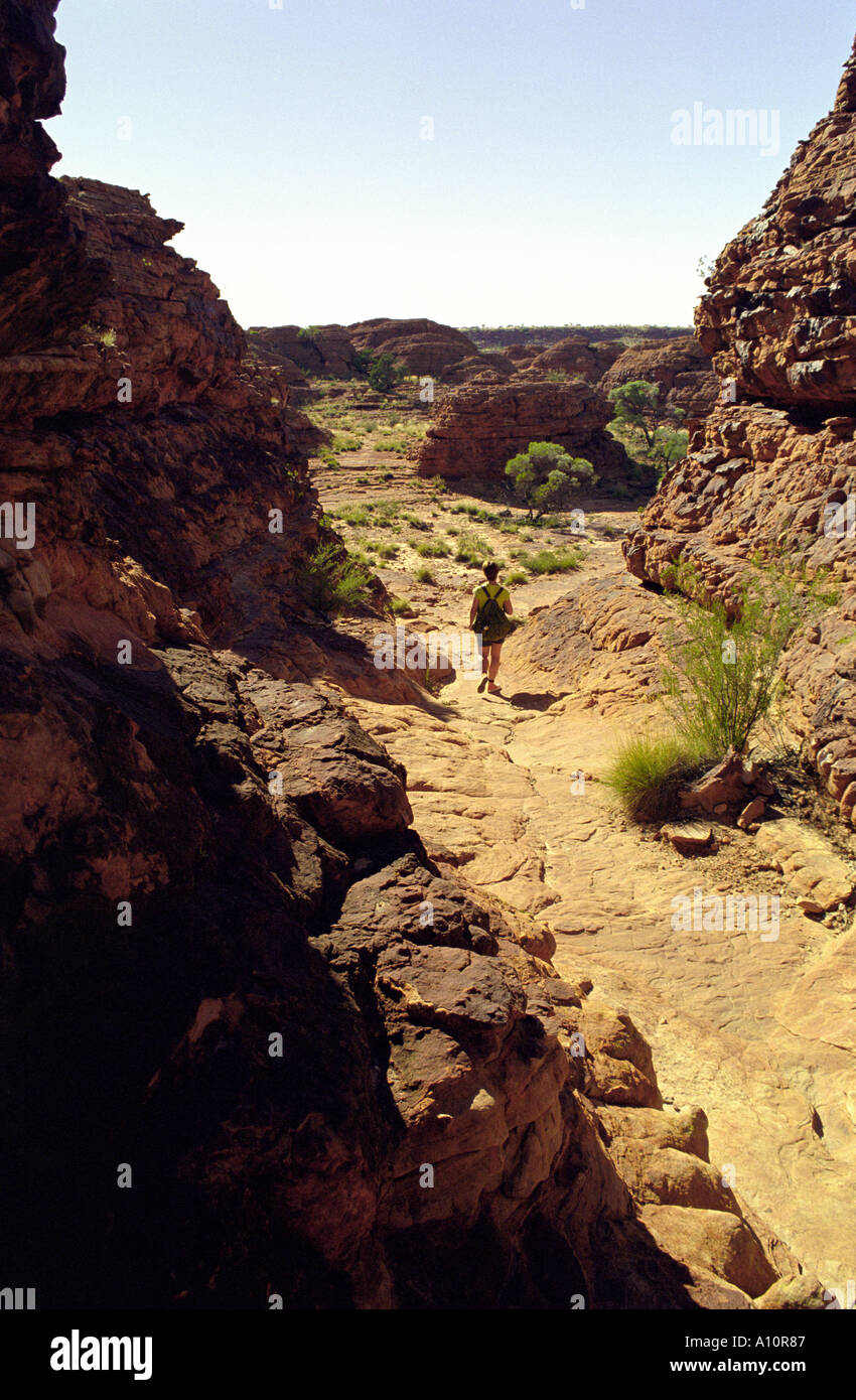 Path through Kings Canyon Stock Photo - Alamy