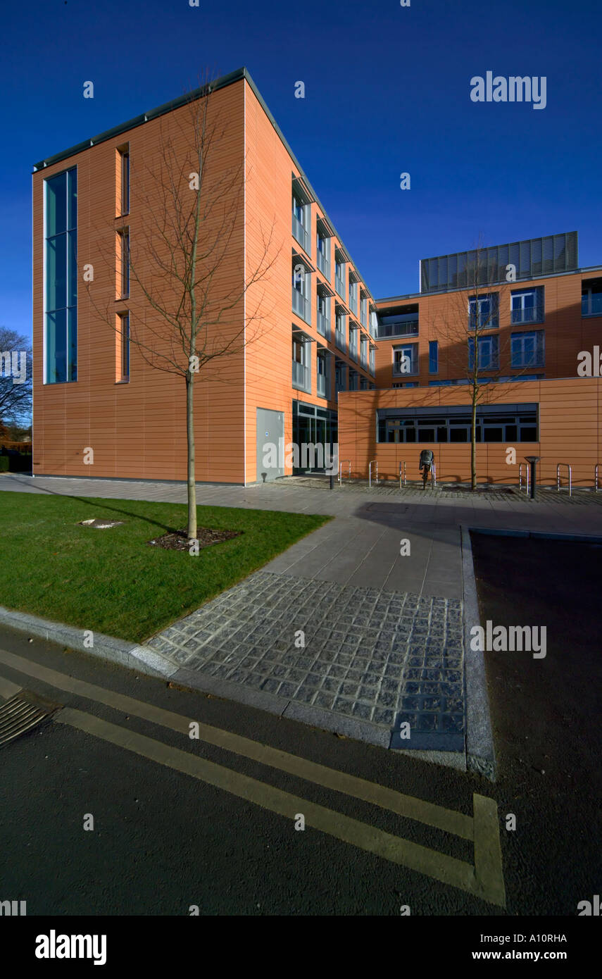 Modern College Building