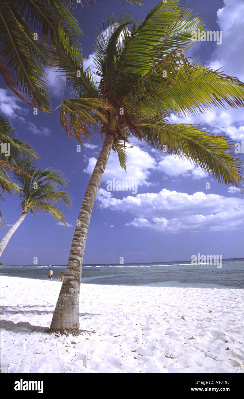 Playa girón beach hi-res stock photography and images - Alamy