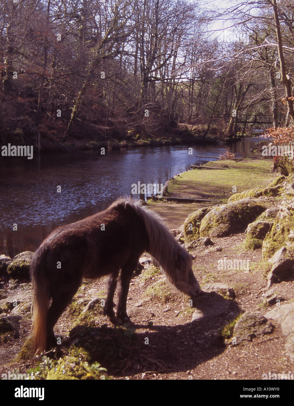 Hunter's tor castle hi-res stock photography and images - Alamy