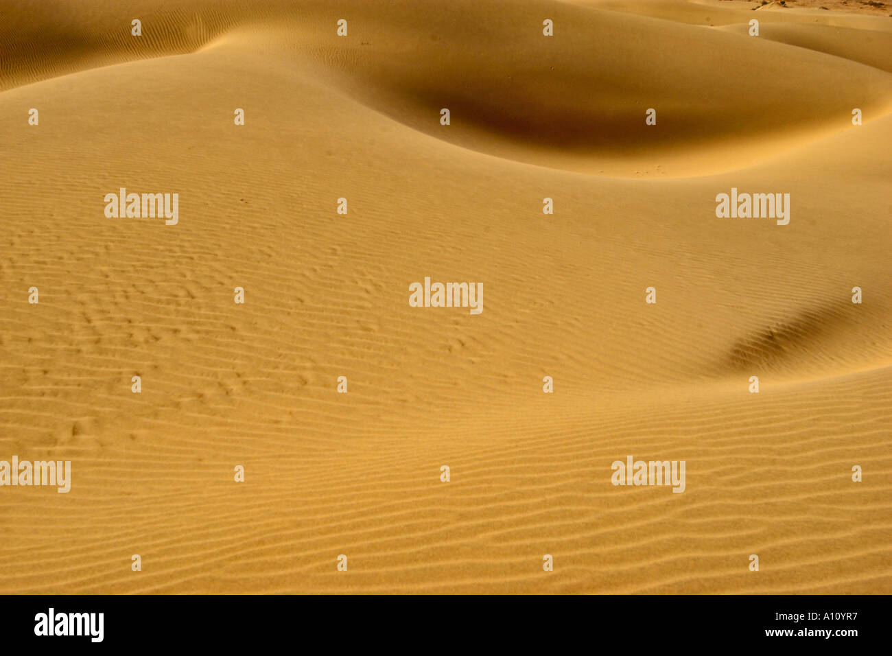 Thar Desert, Sam Sand Dunes, Jaisalmer, Rajasthan, India, Asia Stock ...