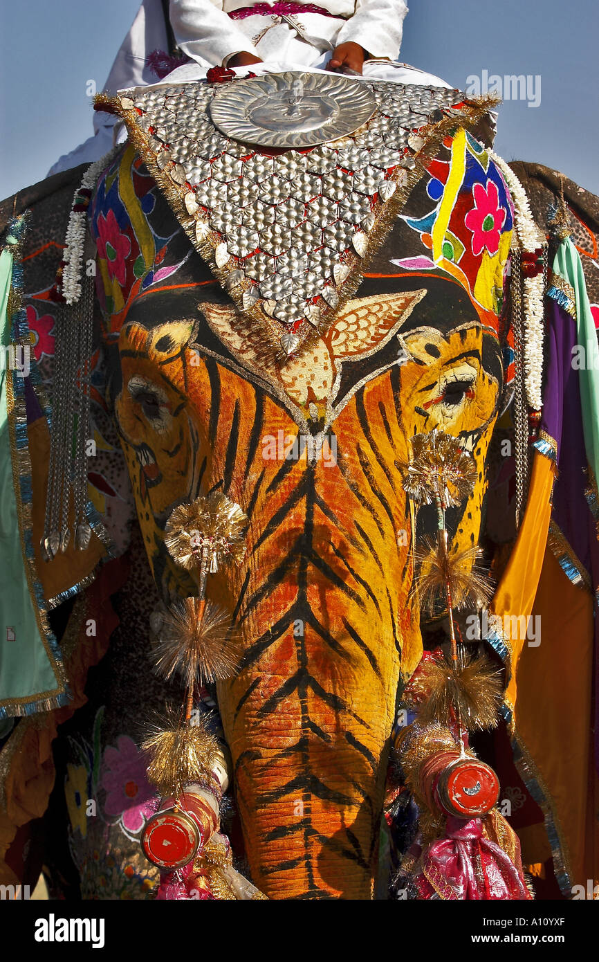 Elephant decoration, Elephants Festival, Chaugan Stadium, Jaipur ...