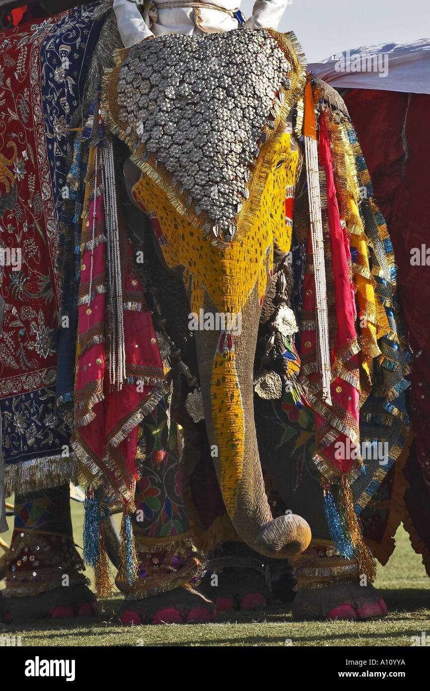 Chaugan stadium hi-res stock photography and images - Alamy