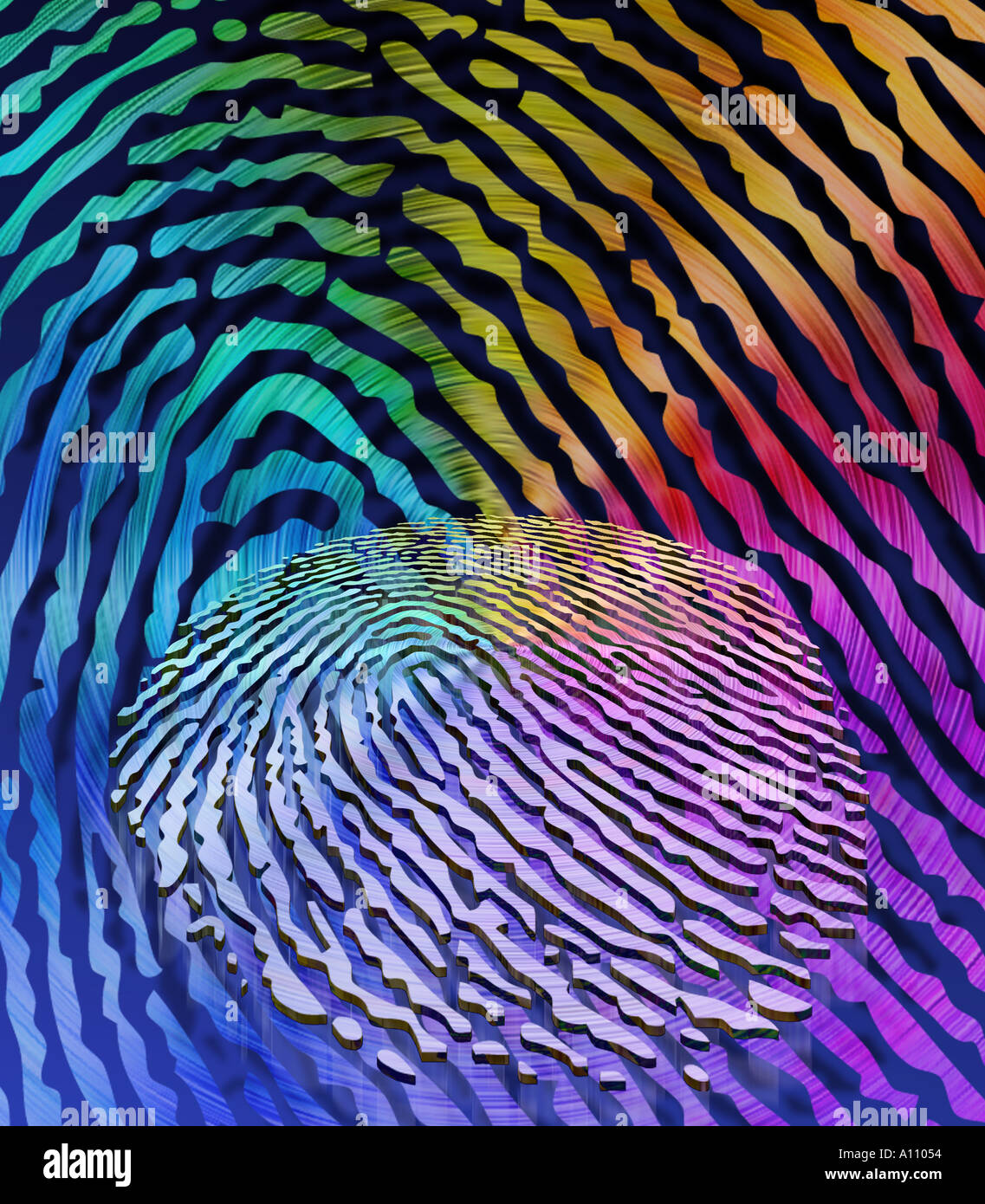 Double rainbow fingerprint Stock Photo - Alamy