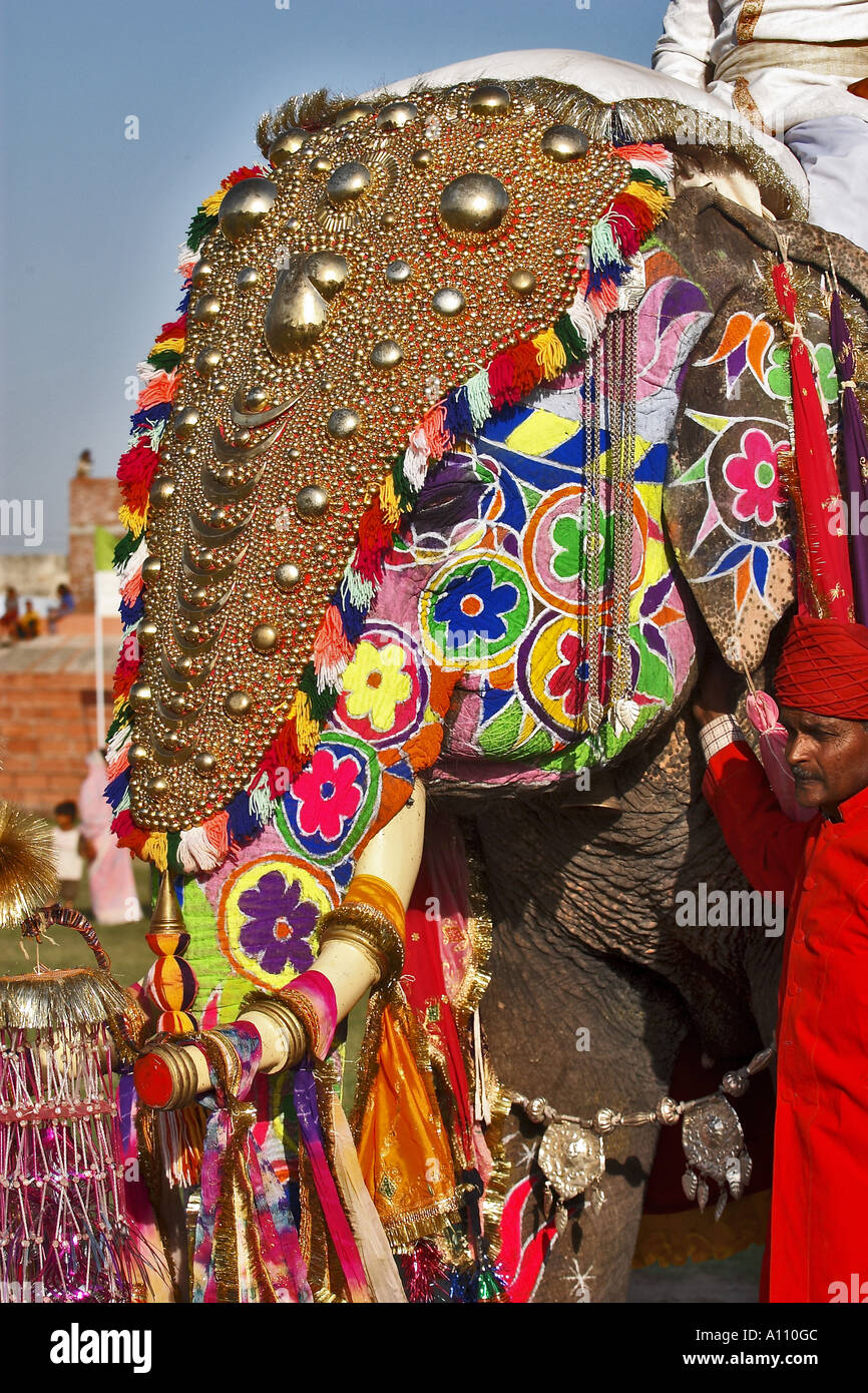 Elephant decoration, Elephants Festival, Chaugan Stadium, Jaipur ...
