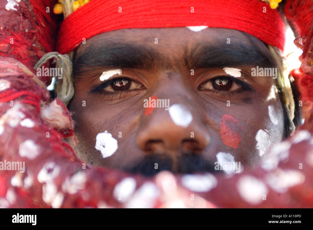 Near uluru ayers rock hi-res stock photography and images - Alamy