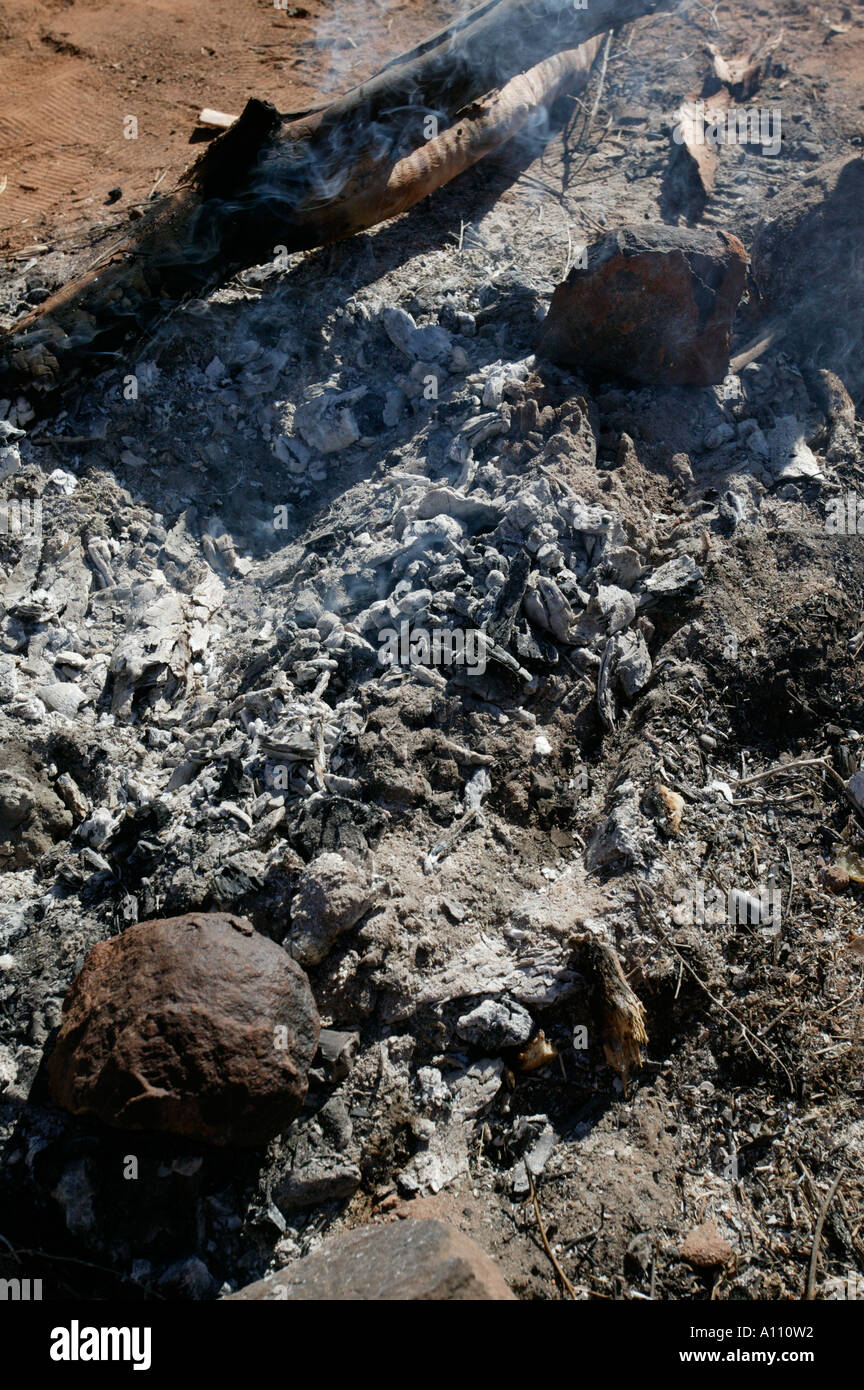 Aboriginal cooking australia hi-res stock photography and images - Alamy