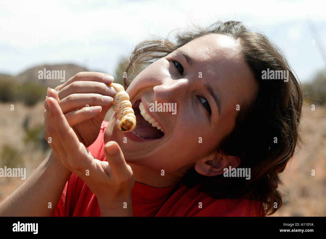 Eating grub australia hi-res stock photography and images - Alamy