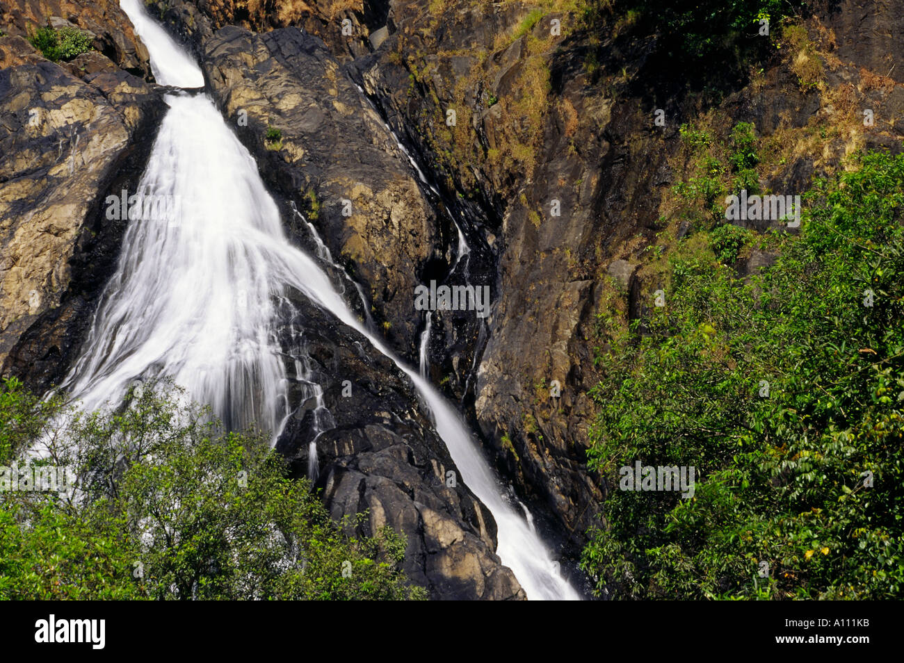 View of the Dudhsagar Falls in East Goa South India Stock Photo - Alamy