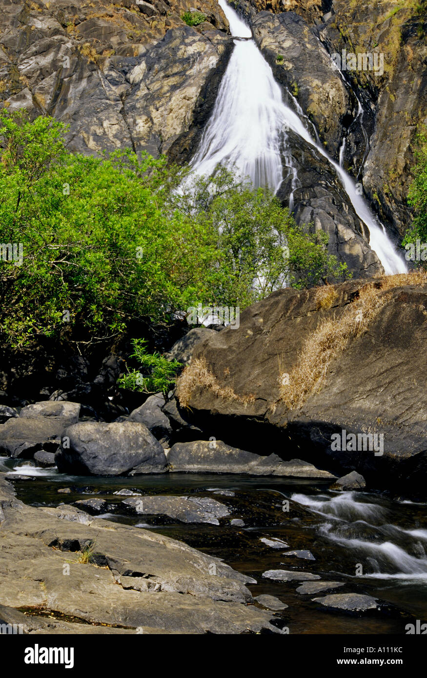 View of the Dudhsagar Falls in East Goa South India Stock Photo - Alamy