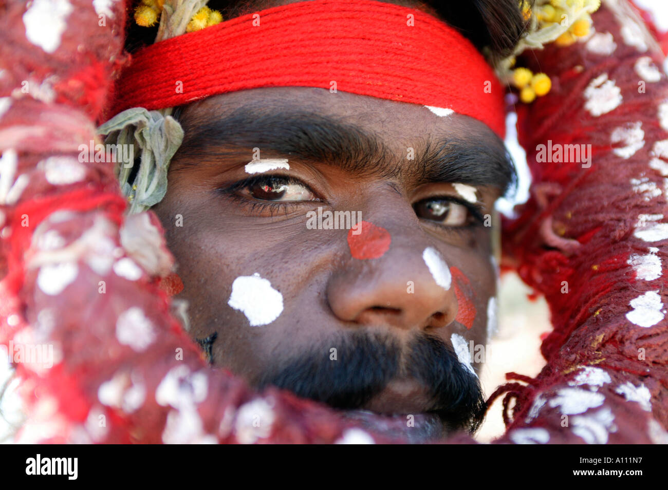 Aboriginal man dressed in traditional costume near Uluru / Ayers Rock ...