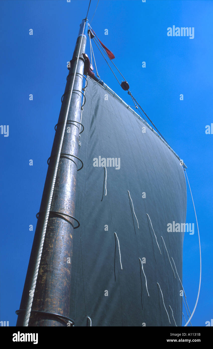 MAST AND RAISED SAIL OF NORFOLK WHERRY ALBION NORFOLK EAST ANGLIA ...