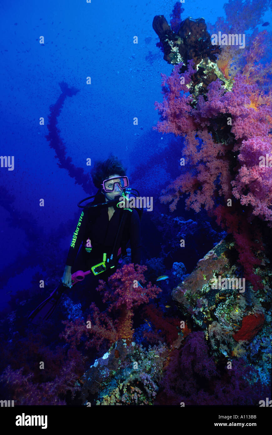 A FEMALE SCUBA DIVER GAZES AT A SHIPWRECK IN THE RED SEA THAT IS ...