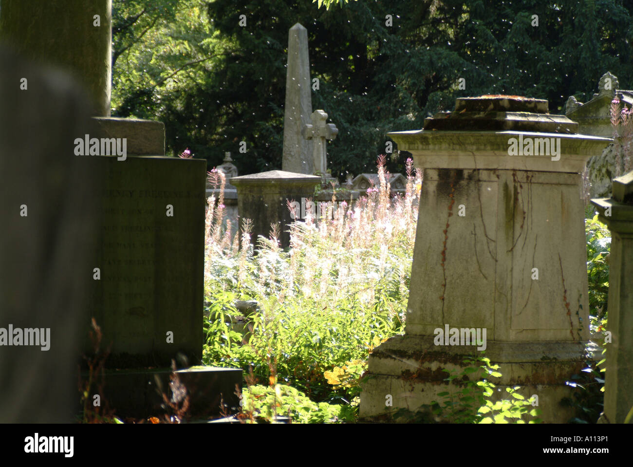 Kensal rise cemetery hi-res stock photography and images - Alamy