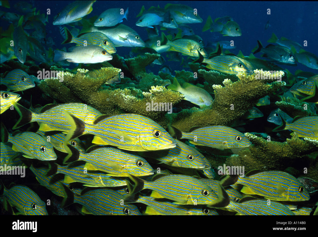 Cluster of keys hi-res stock photography and images - Alamy