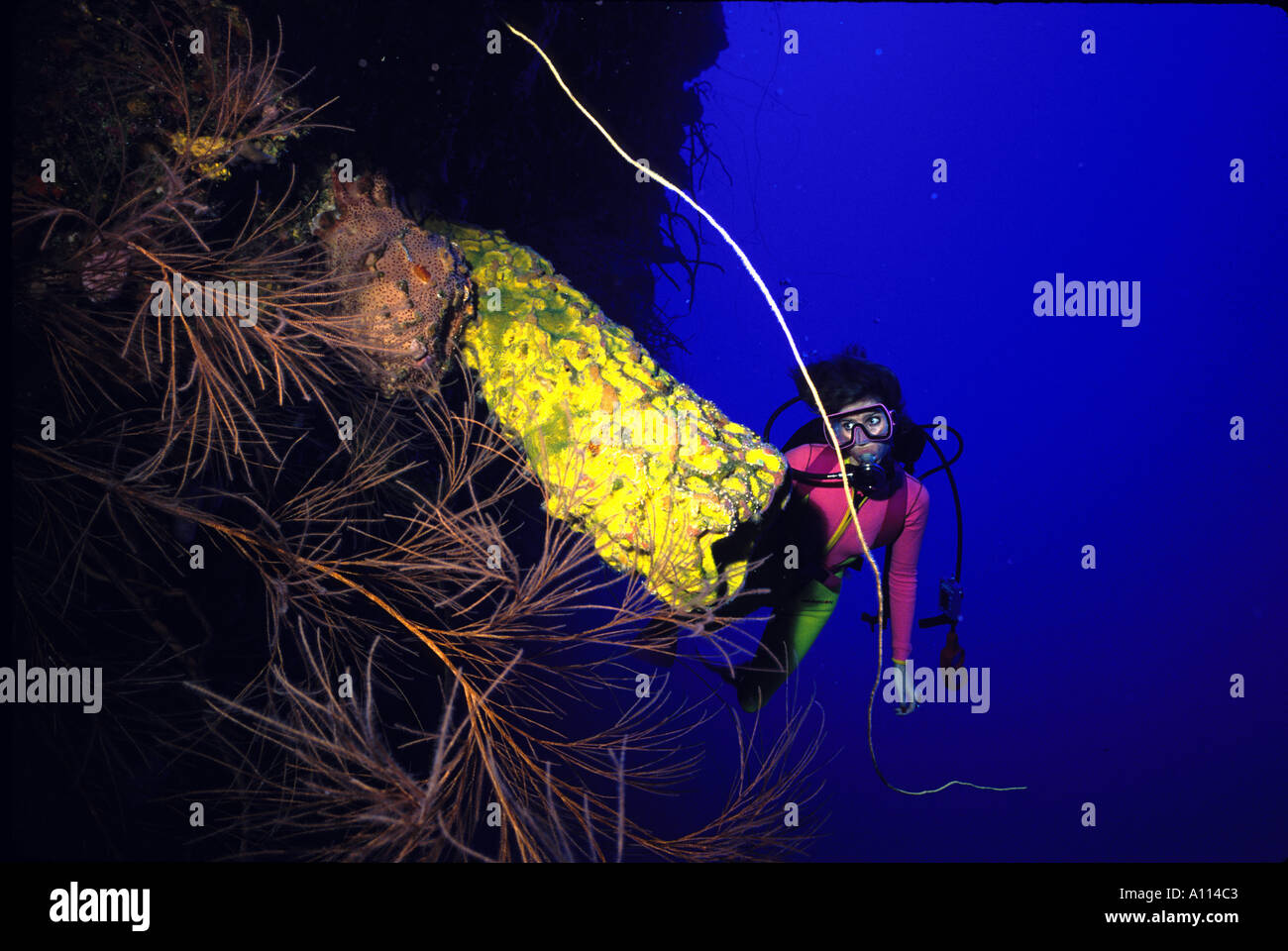 Diver looking large black hi-res stock photography and images - Alamy