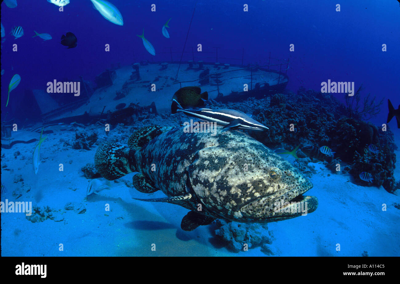 Wreck in sand hi-res stock photography and images - Alamy