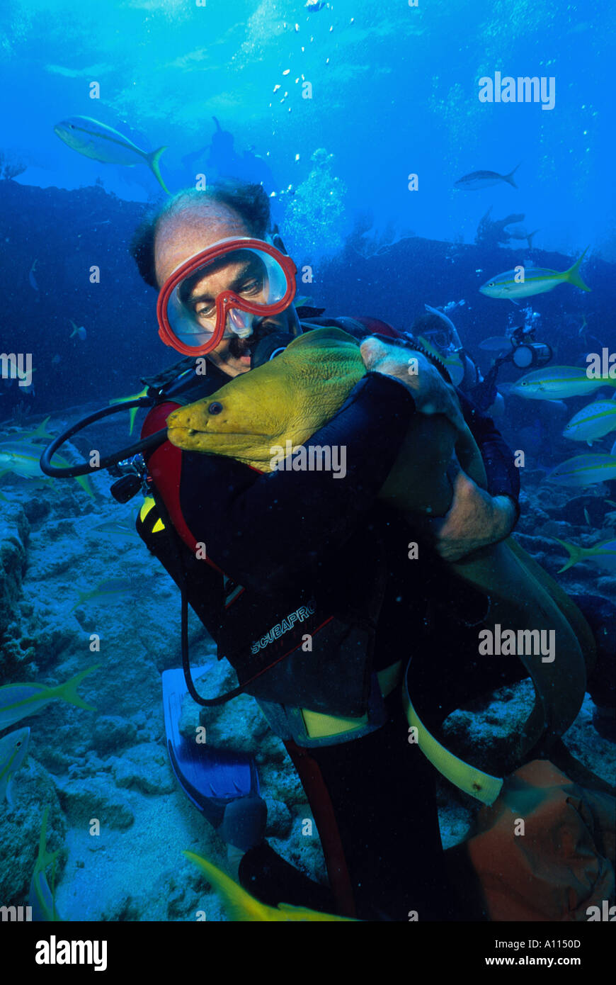 CAPTAIN SPENCER SLATE HUGS A GREEN MORAY EEL AT THE CITY OF WASHINGTON ...