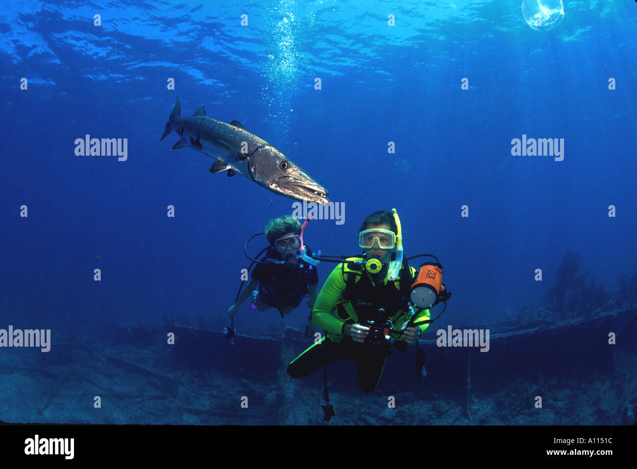A MALE SCUBA DIVER WITH AN UNDERWATER CAMERA WATCHES A GREAT BARRACUDA ...