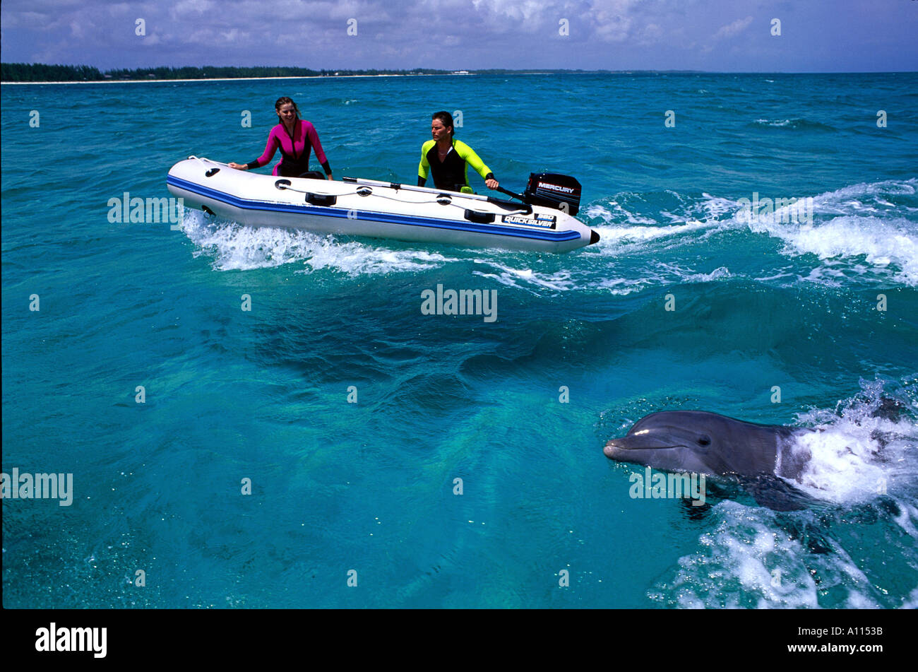 Dolphin boat engine hi-res stock photography and images - Alamy