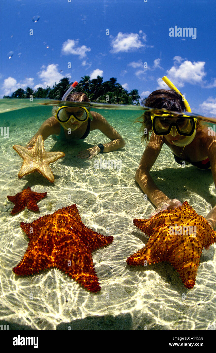 Bahama sea star hi-res stock photography and images - Alamy