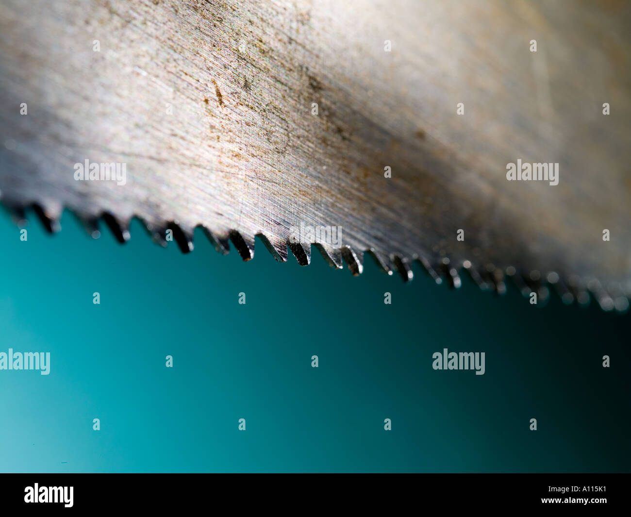 close up saw Stock Photo - Alamy